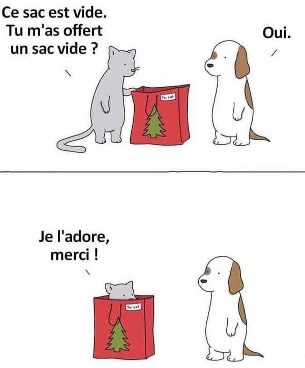 entre chien et chat